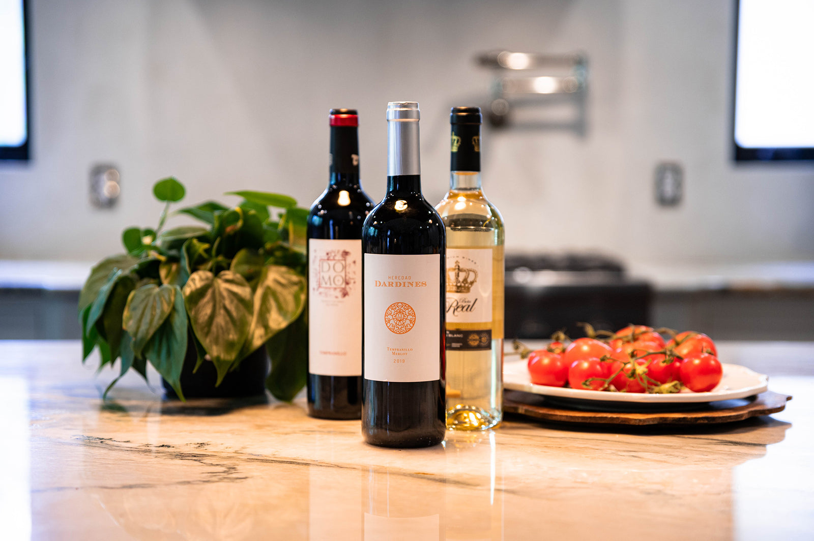 Overstock Wine Sampler Pack: 20 Bottle Case of Wine - 750ml